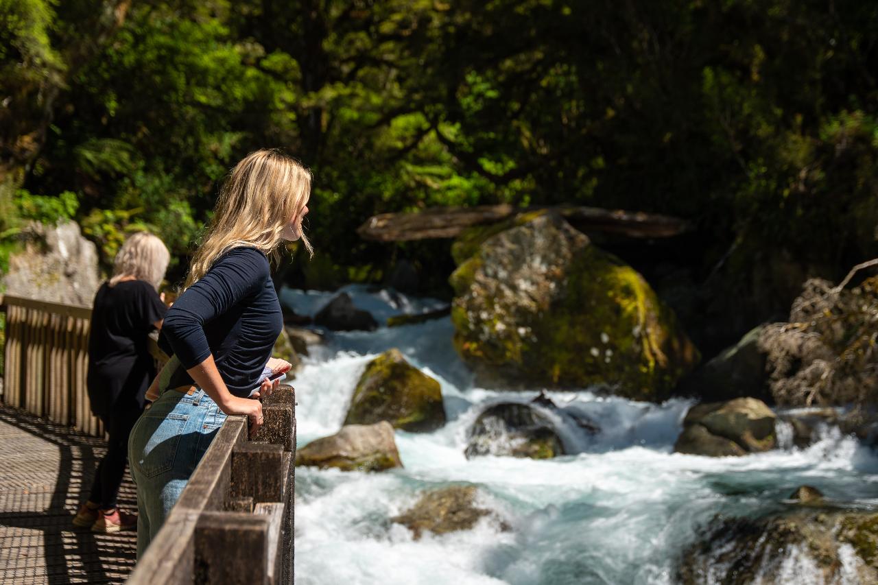 Milford Sound Tour via Walter Peak, Von Valley + Glowworm Caves ...