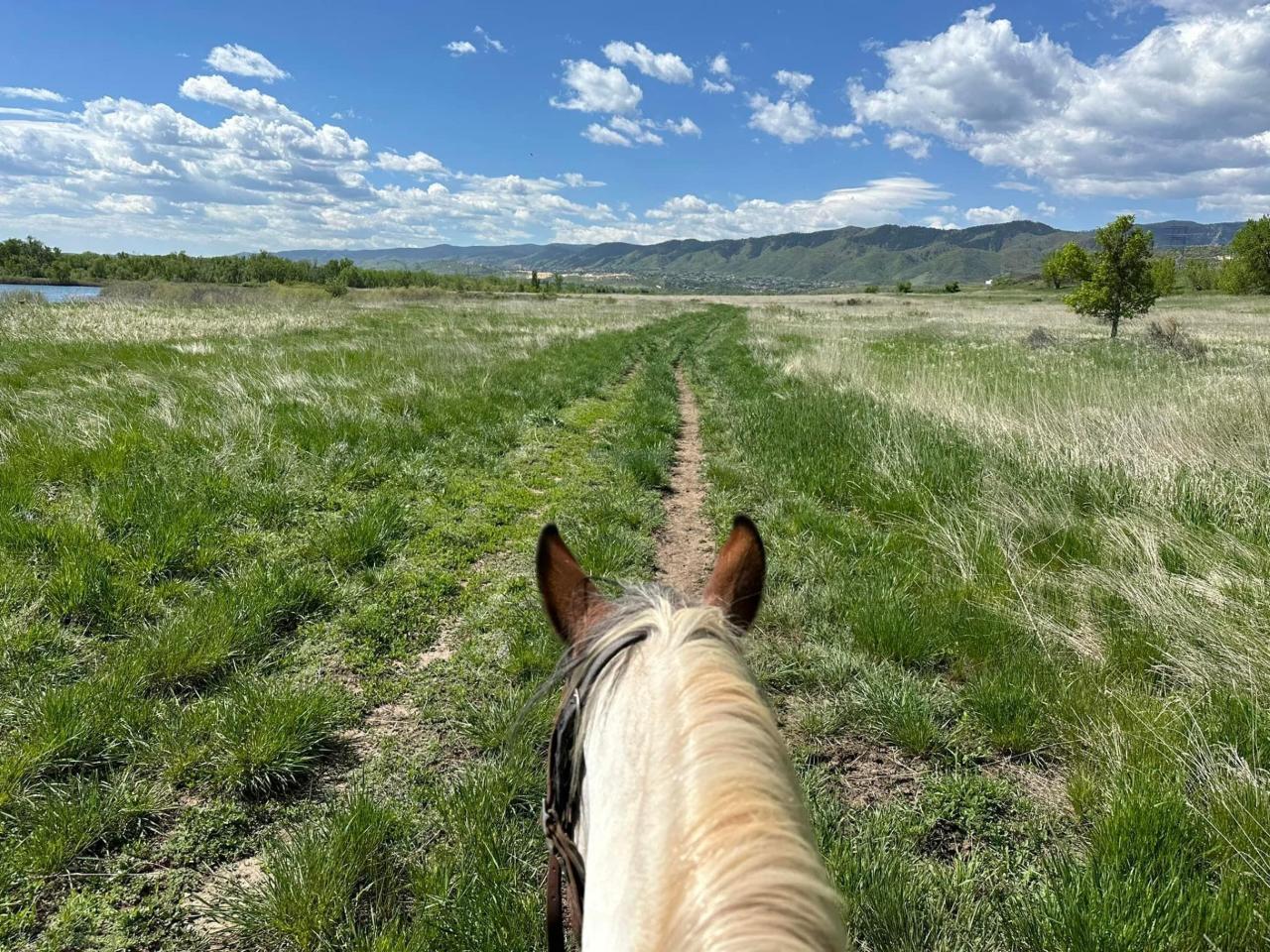 1.5 Hour Riverside Foothills Ride - Big Horn Stables Reservations