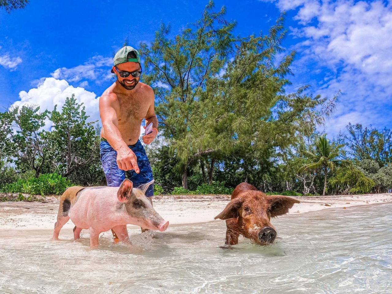 Swimming Pigs Tours - Pigs Beach Tours