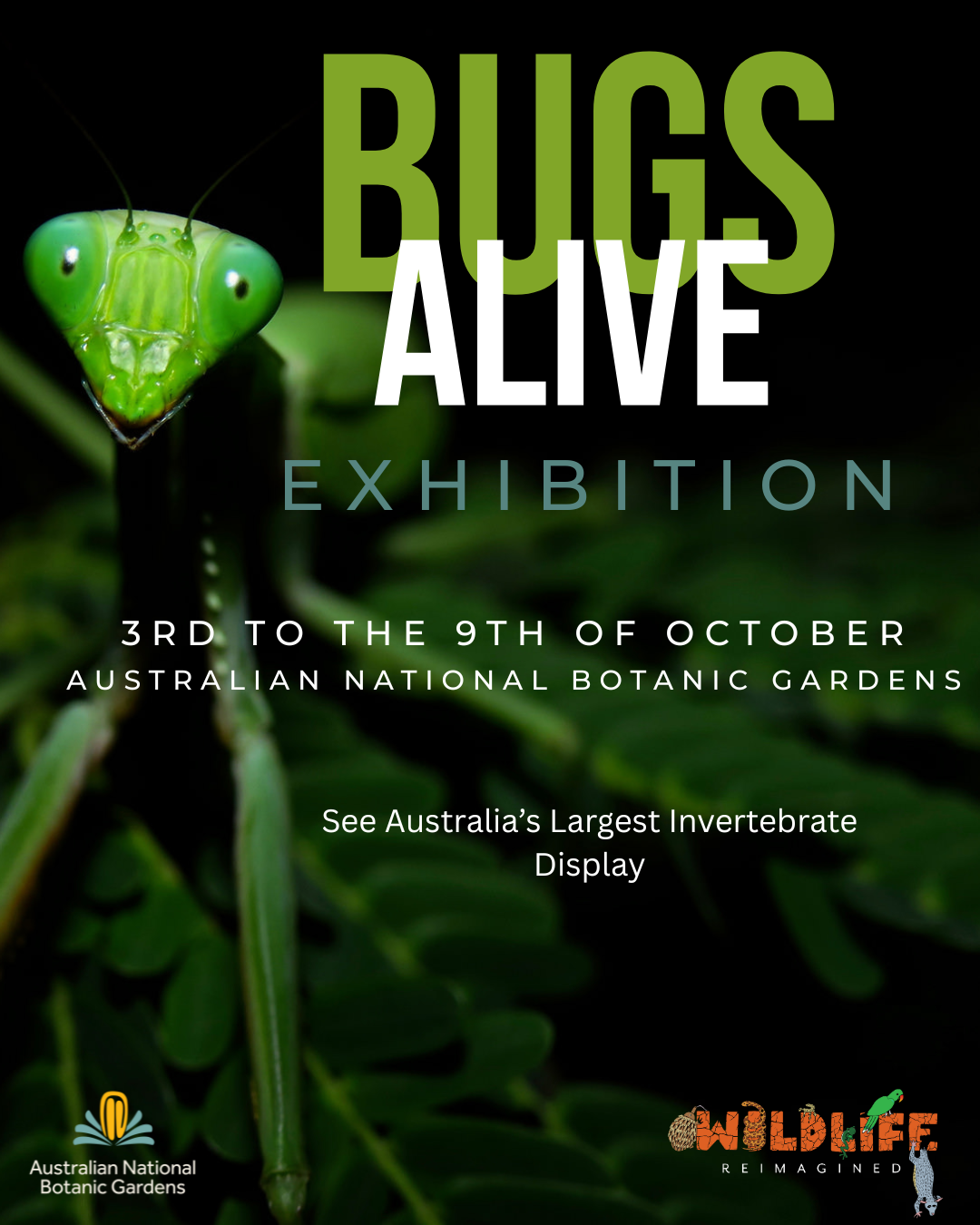 Bugs Alive Exhibition - Wildlife Reimagined Reservations