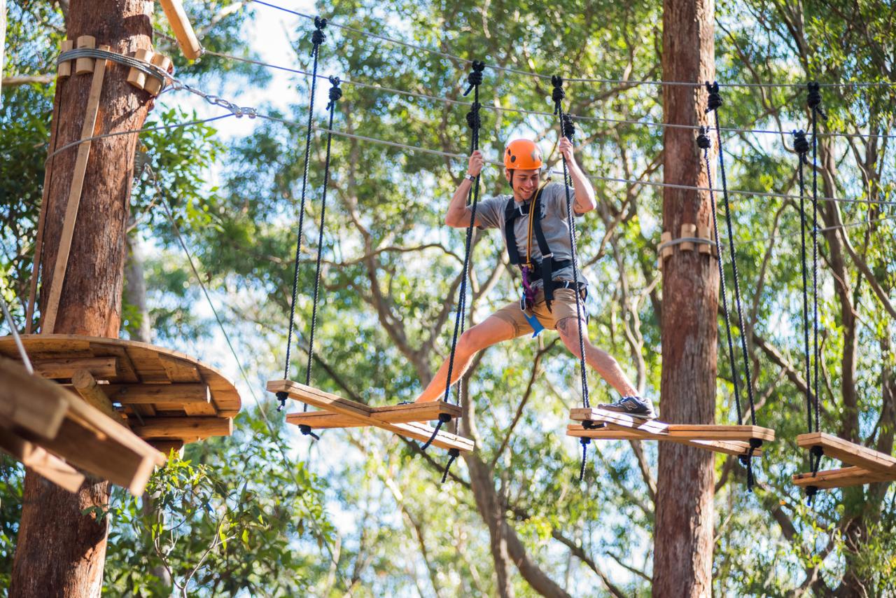 Tree Ropes Course - Turers - Australia