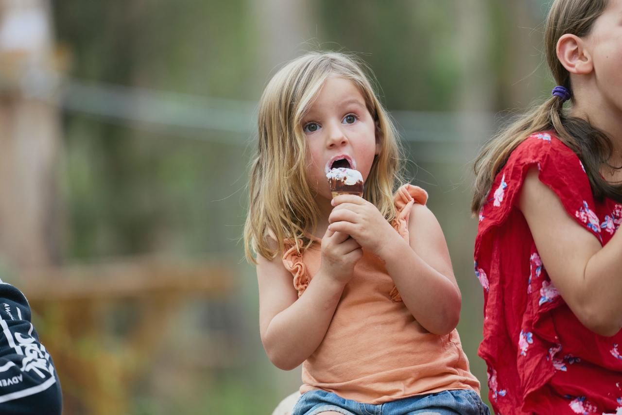 KOOKIES Ziplines and Low Ropes Courses at Aerial Adventure Pemberton ...