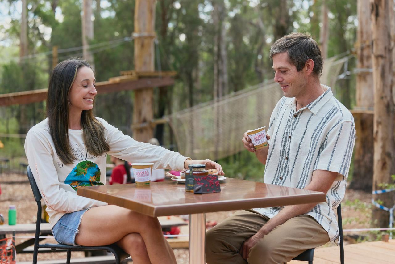 Ultimate ziplines and high ropes Experience at Aerial Adventure Pemberton