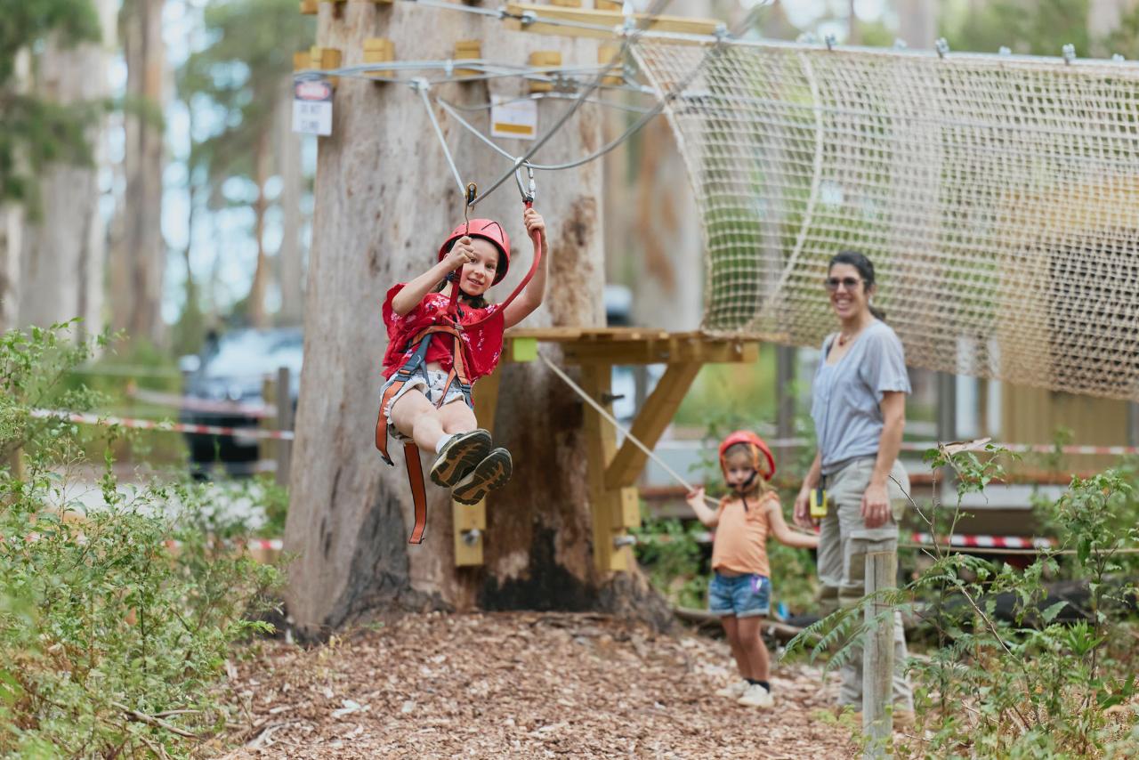 Little ziplines and low ropes Experience at Aerial Adventure Pemberton