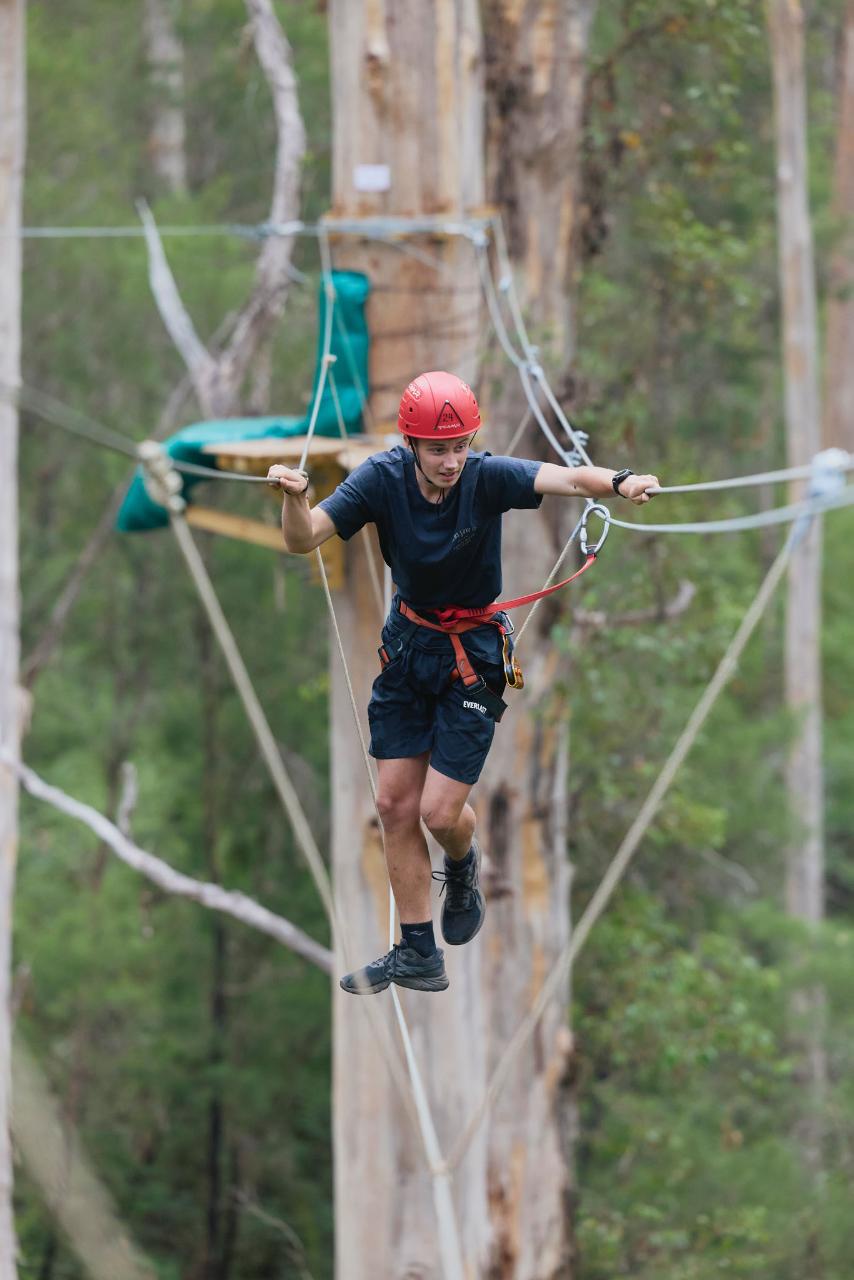Ultimate ziplines and high ropes Experience at Aerial Adventure Pemberton