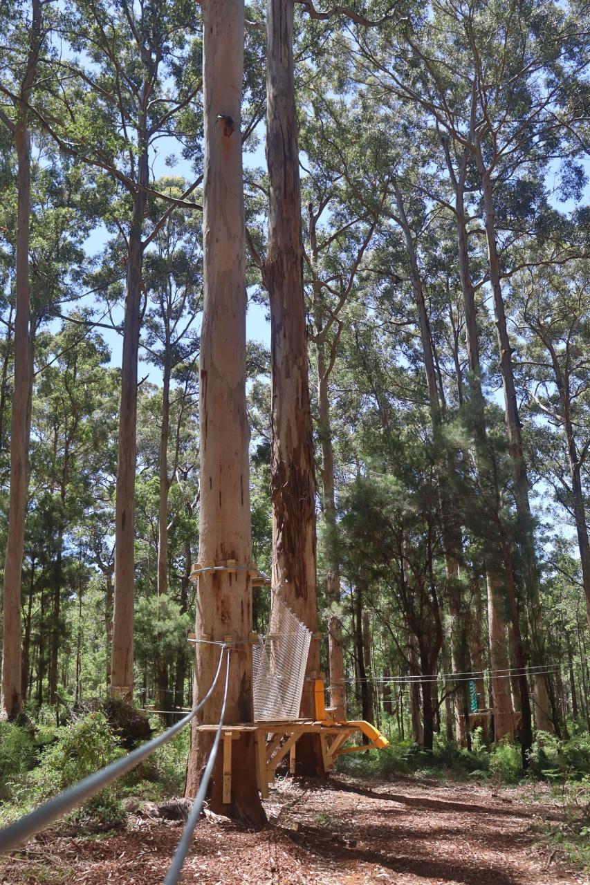 KOOKIES Ziplines and Low Ropes Courses at Aerial Adventure Pemberton ...