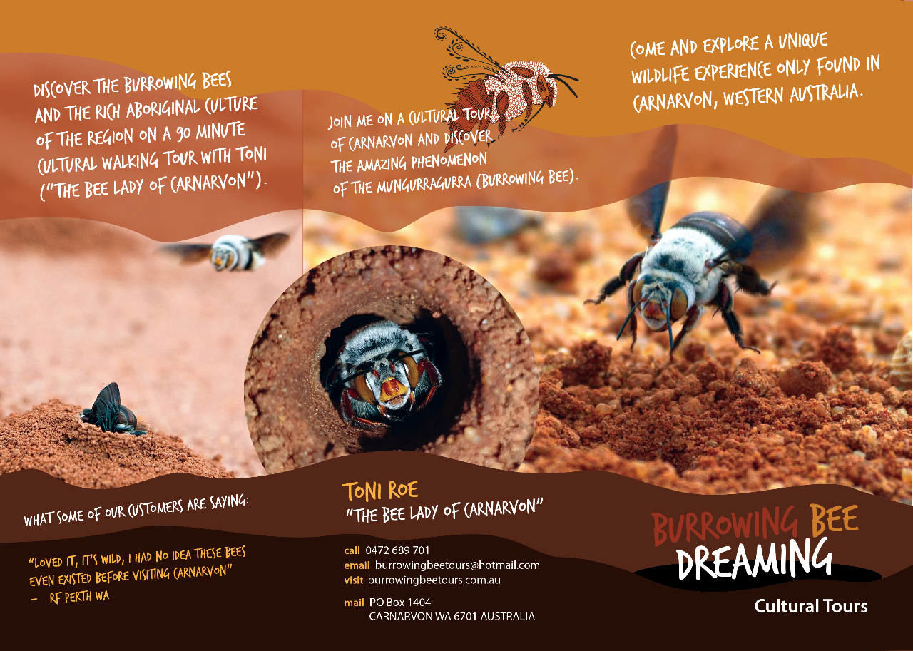 Burrowing Bee Tour - Burrowing Bee Dreaming Tours Reservations