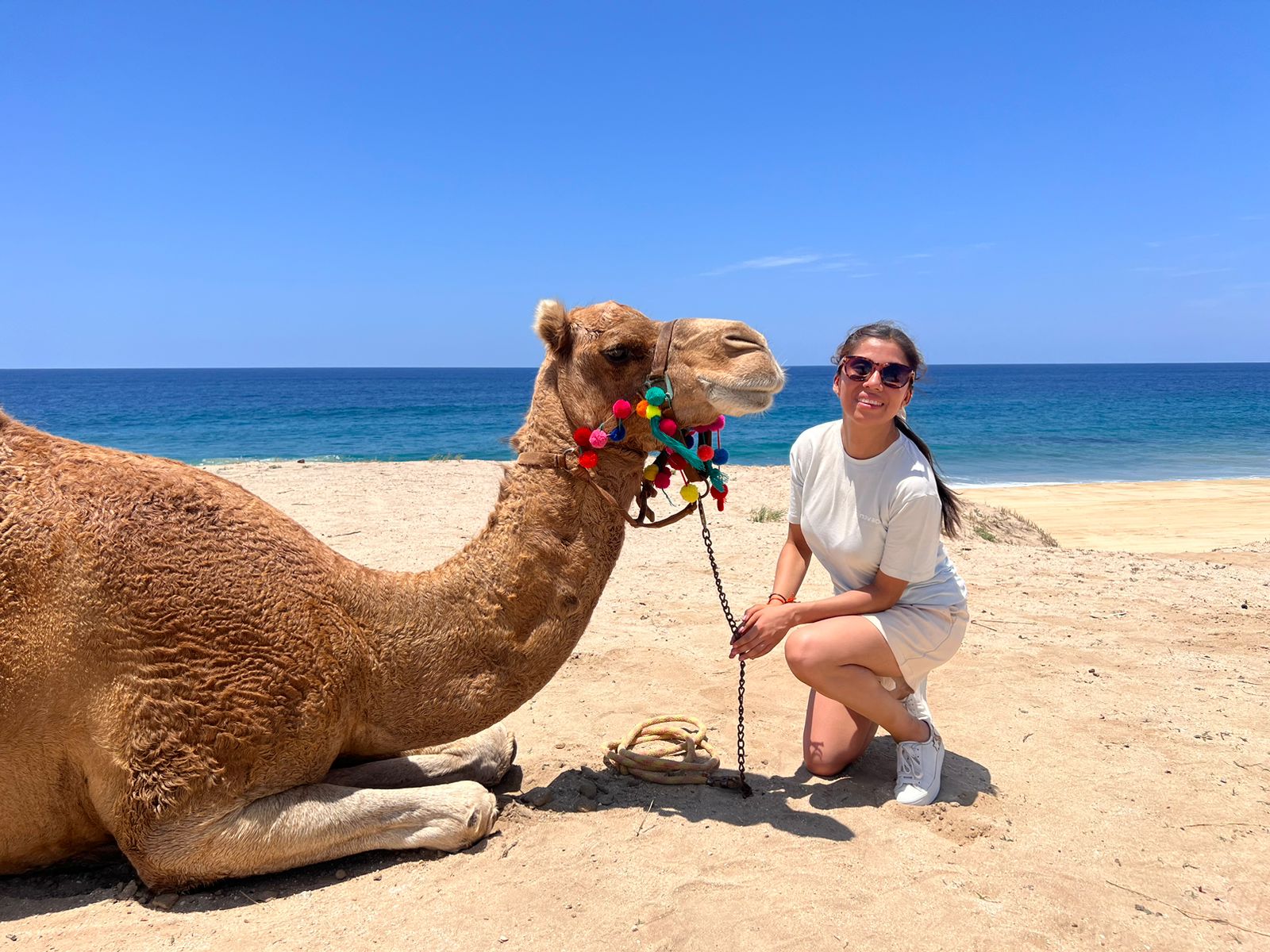 Cabo Camel Experience - G-Force Adventures Reservations