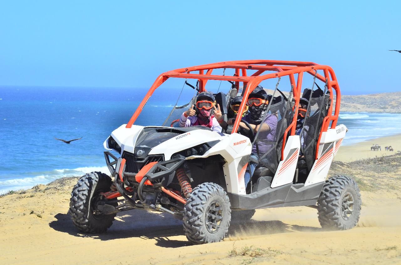 Cabo UTV Baja Discovery Tour - G-Force Adventures Reservations