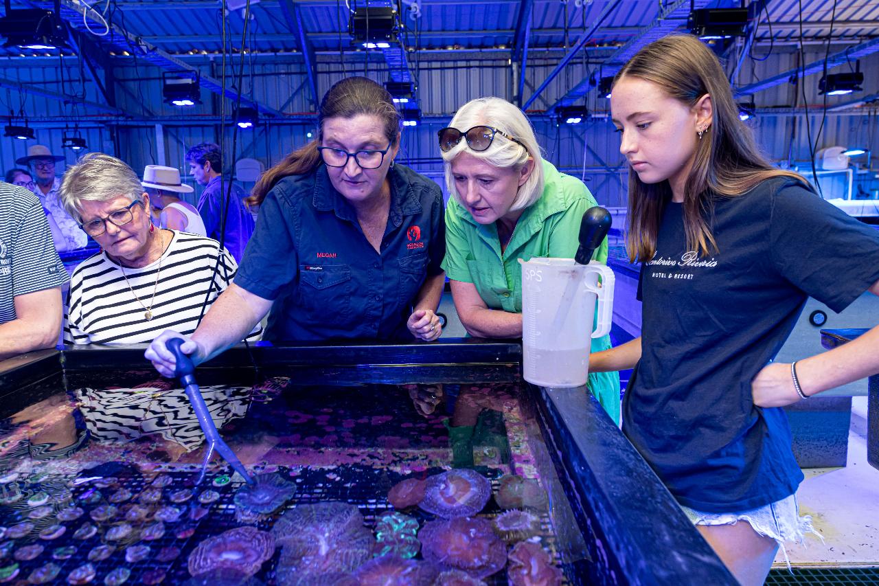Monsoon Aquatics Coral Farm Tours