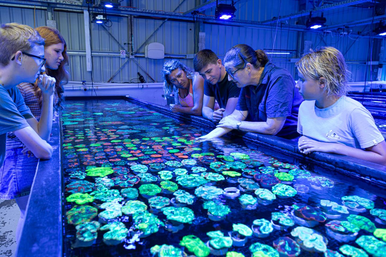 Monsoon Aquatics Coral Farm Tours