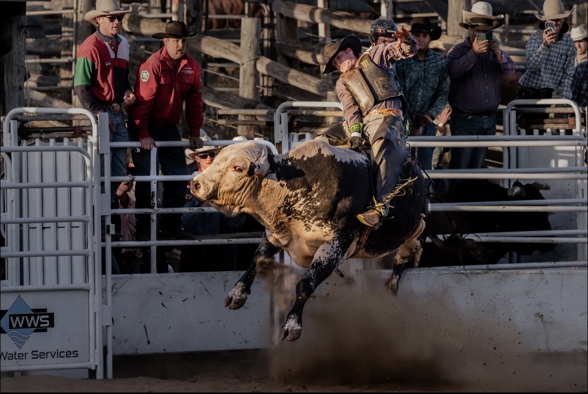 Dongara Rodeo & Turquoise Coast Tour 4th - 5th October 2025 ...