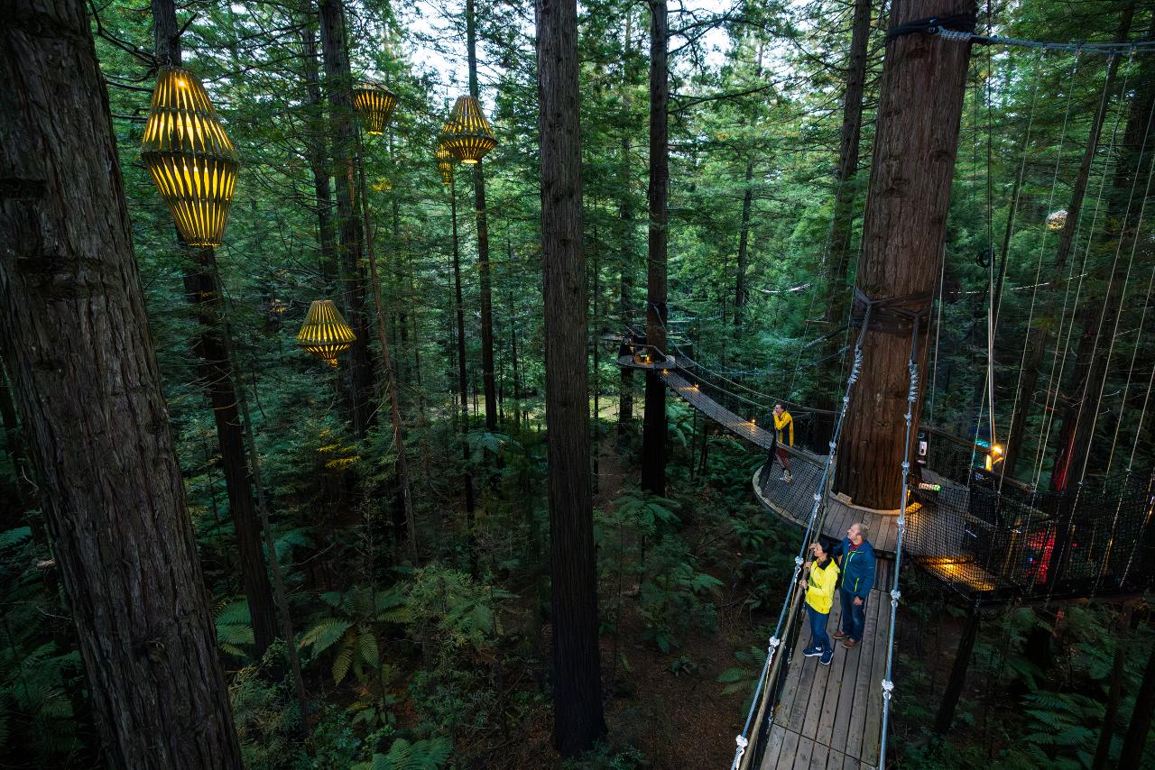 Redwoods Adventure Combo - Redwoods Altitude Reservations