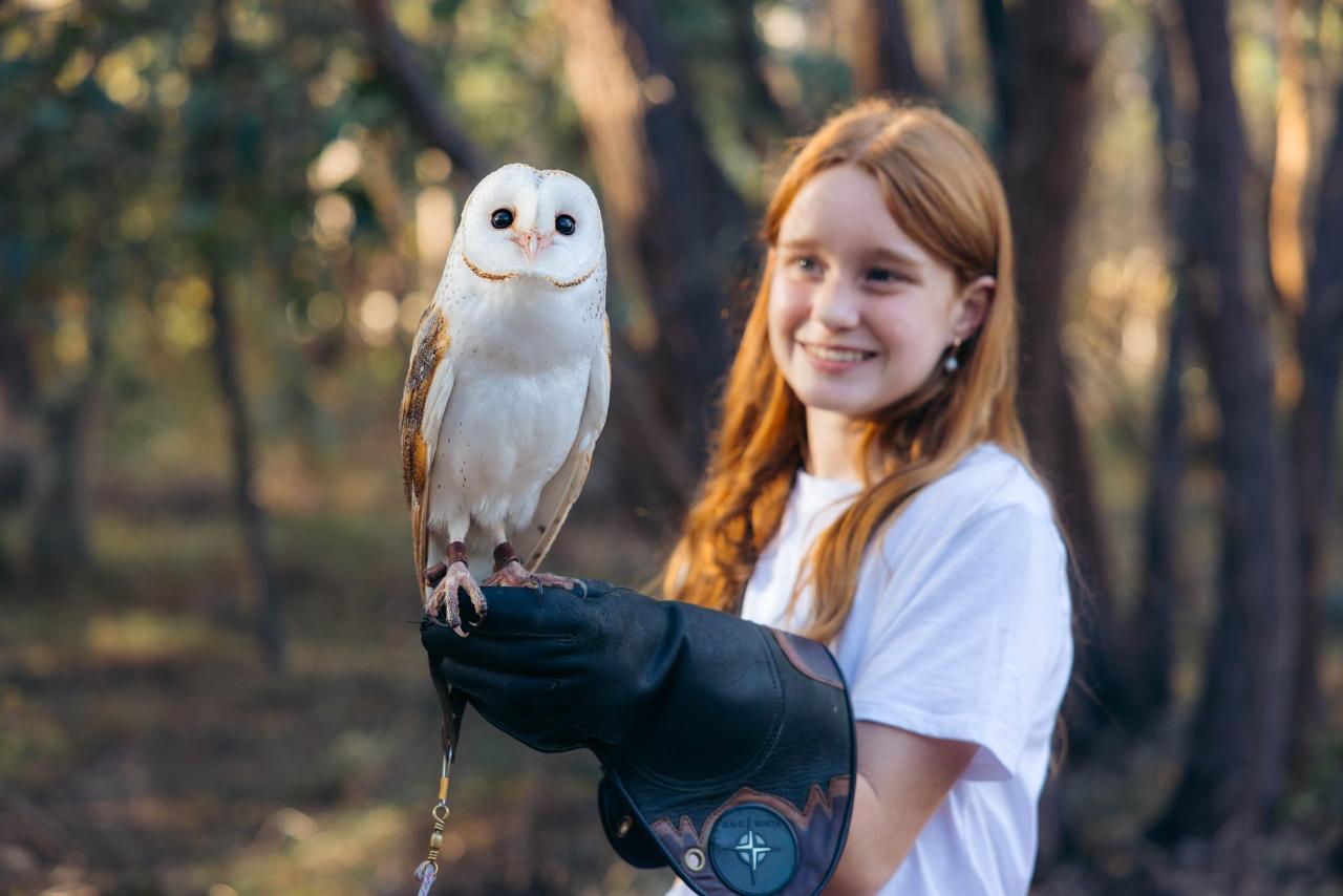 VIP Owl Encounter - Capes Foundation Reservations