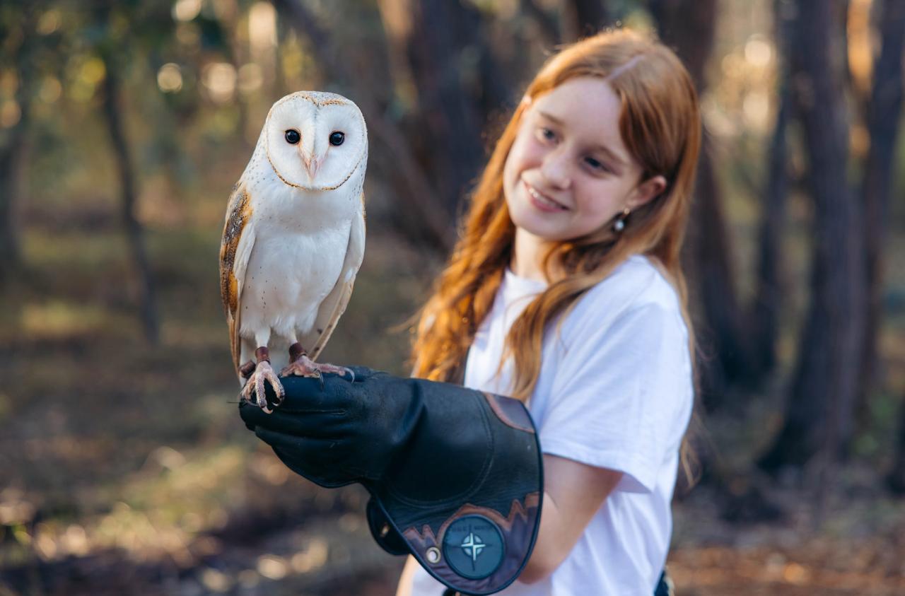 VIP Owl Encounter - Capes Foundation Reservations
