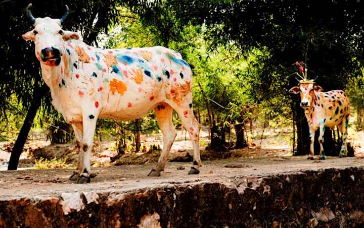 New Gokula Farm, Cessnock & Newcastle Day Tour from Sydney - Australian ...