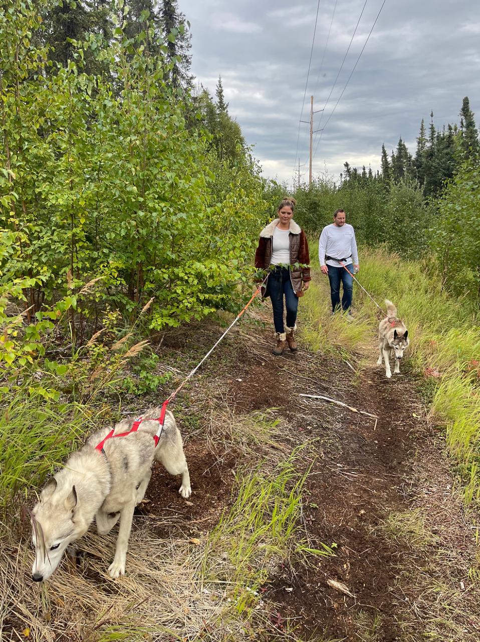 Husky Hike - Arctic Dog Adventure Co. Reservations
