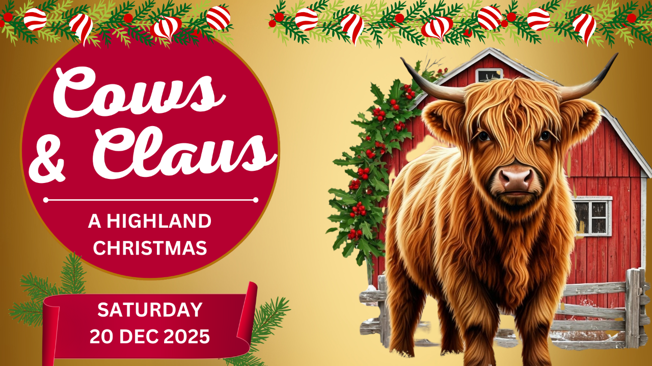 Cows & Claus: A Highland Christmas - Highland Hideaway Experiences ...