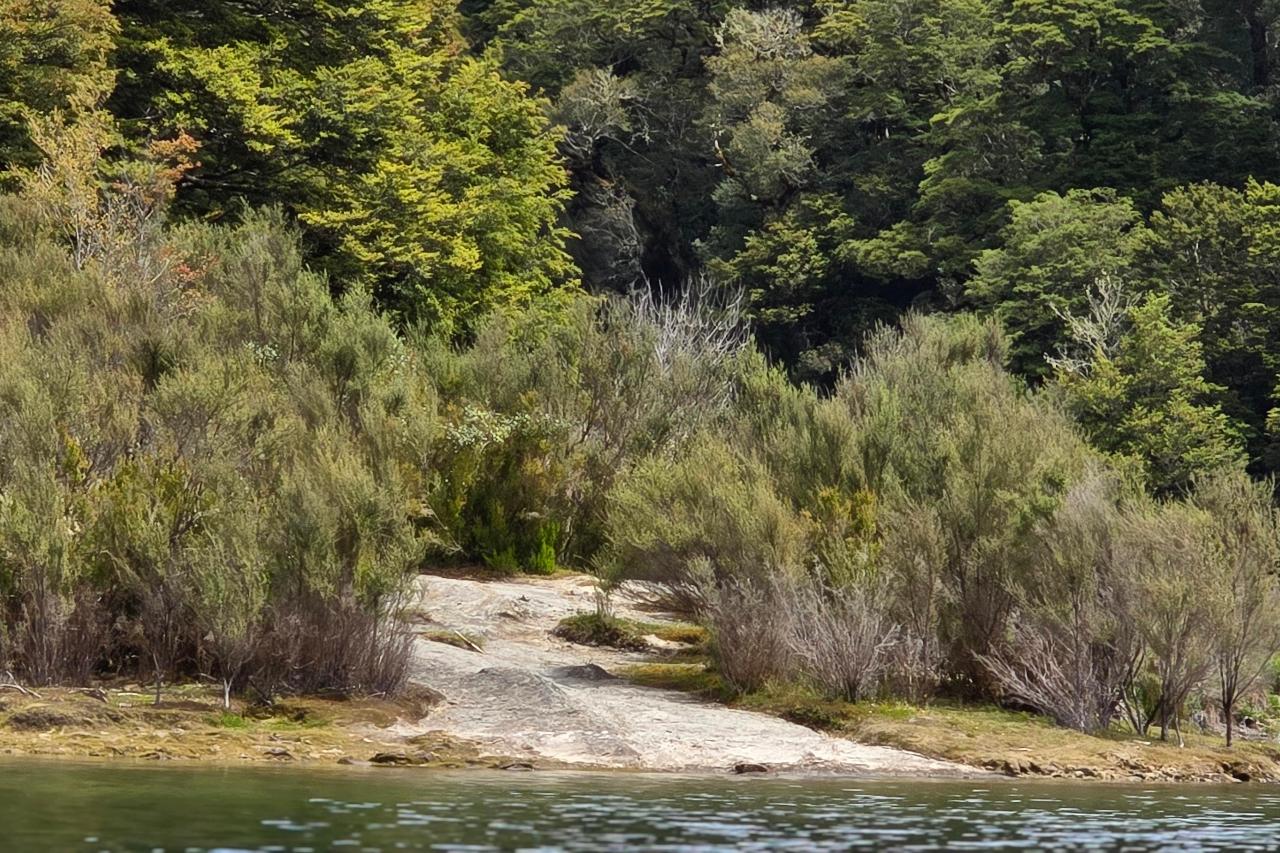 Departing Whananui for Te Karetu via Onepoto - Waiwai Xpres Reservations