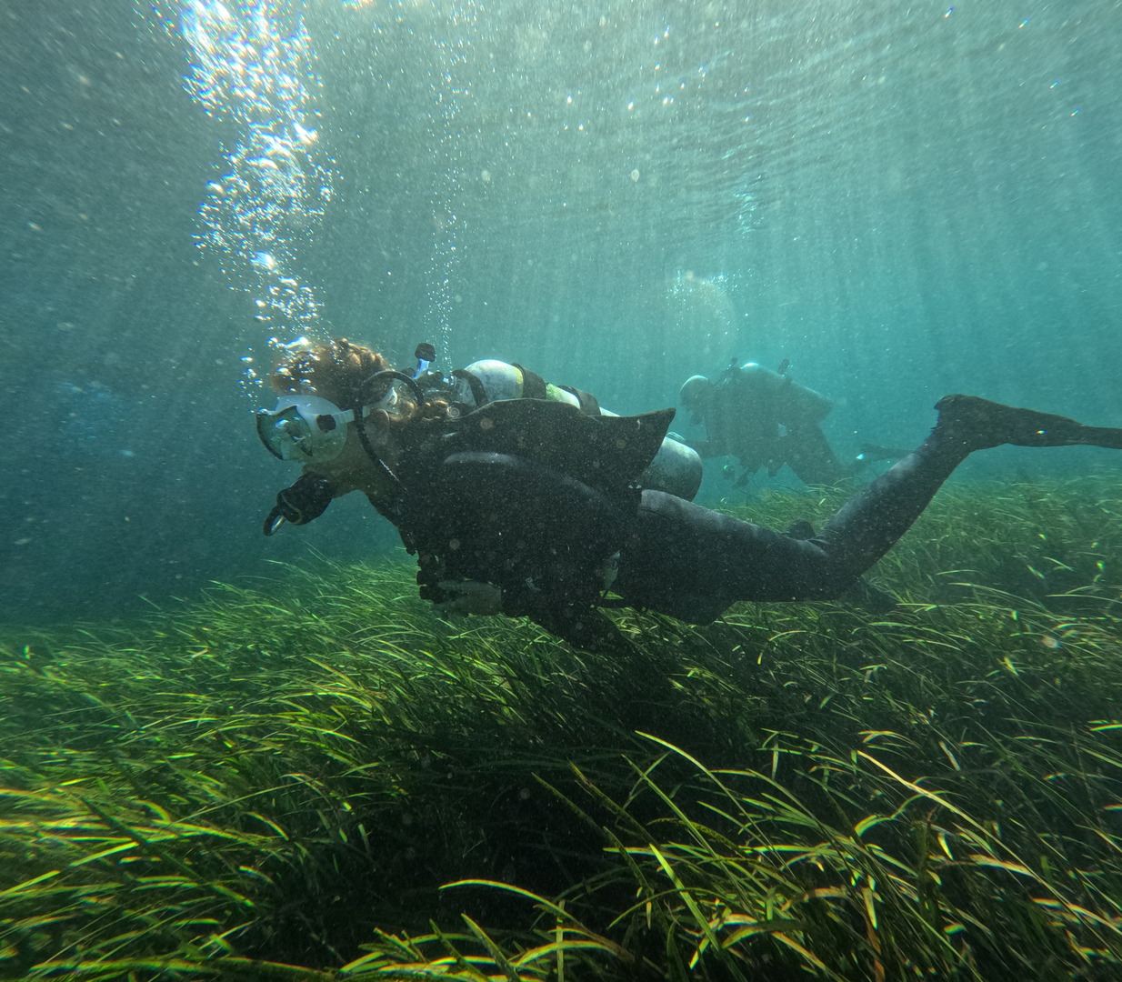 Rainbow River - Snorkel or Dive - American Pro Diving Center Reservations