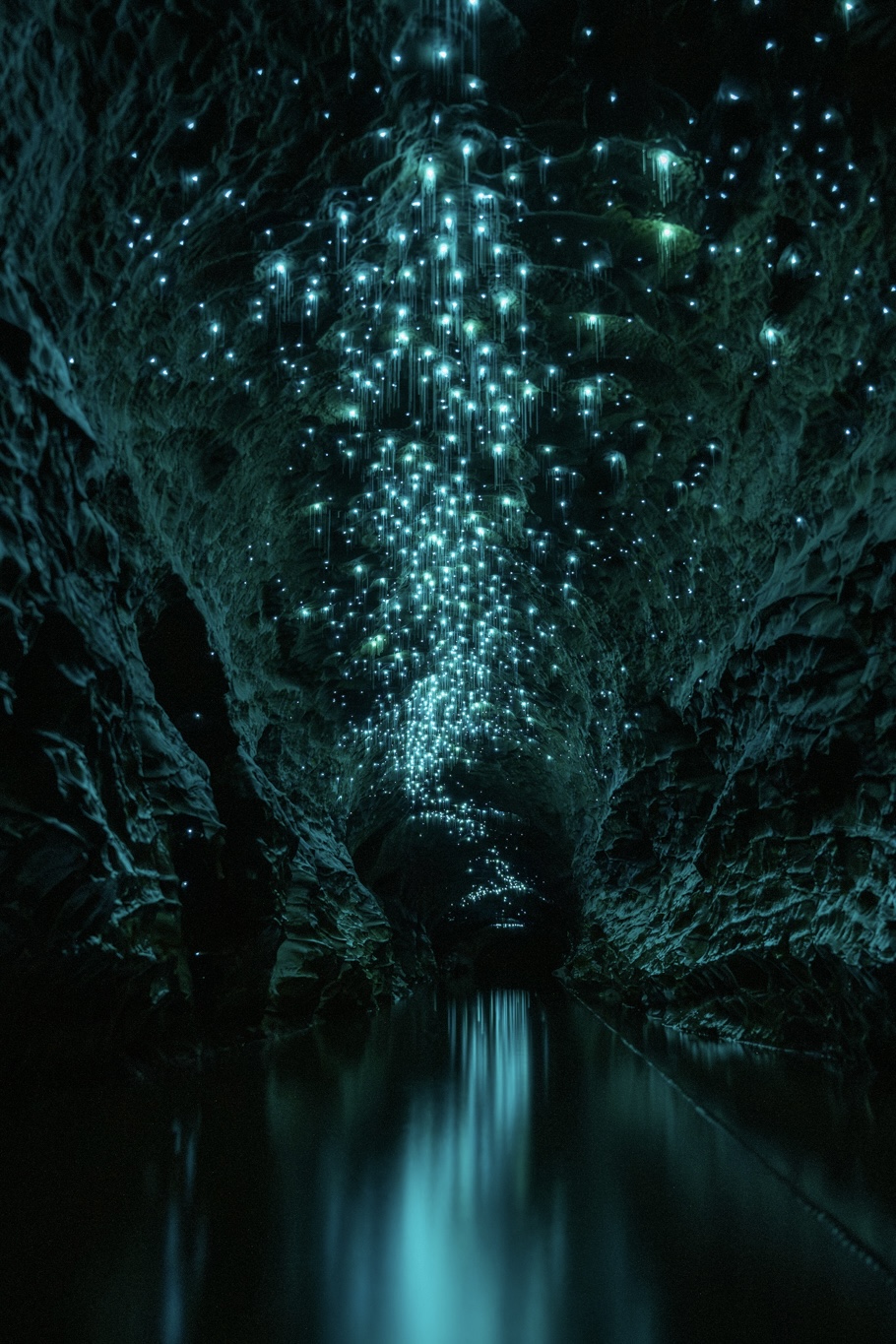 Waitomo Newest Premium Caving Adventure