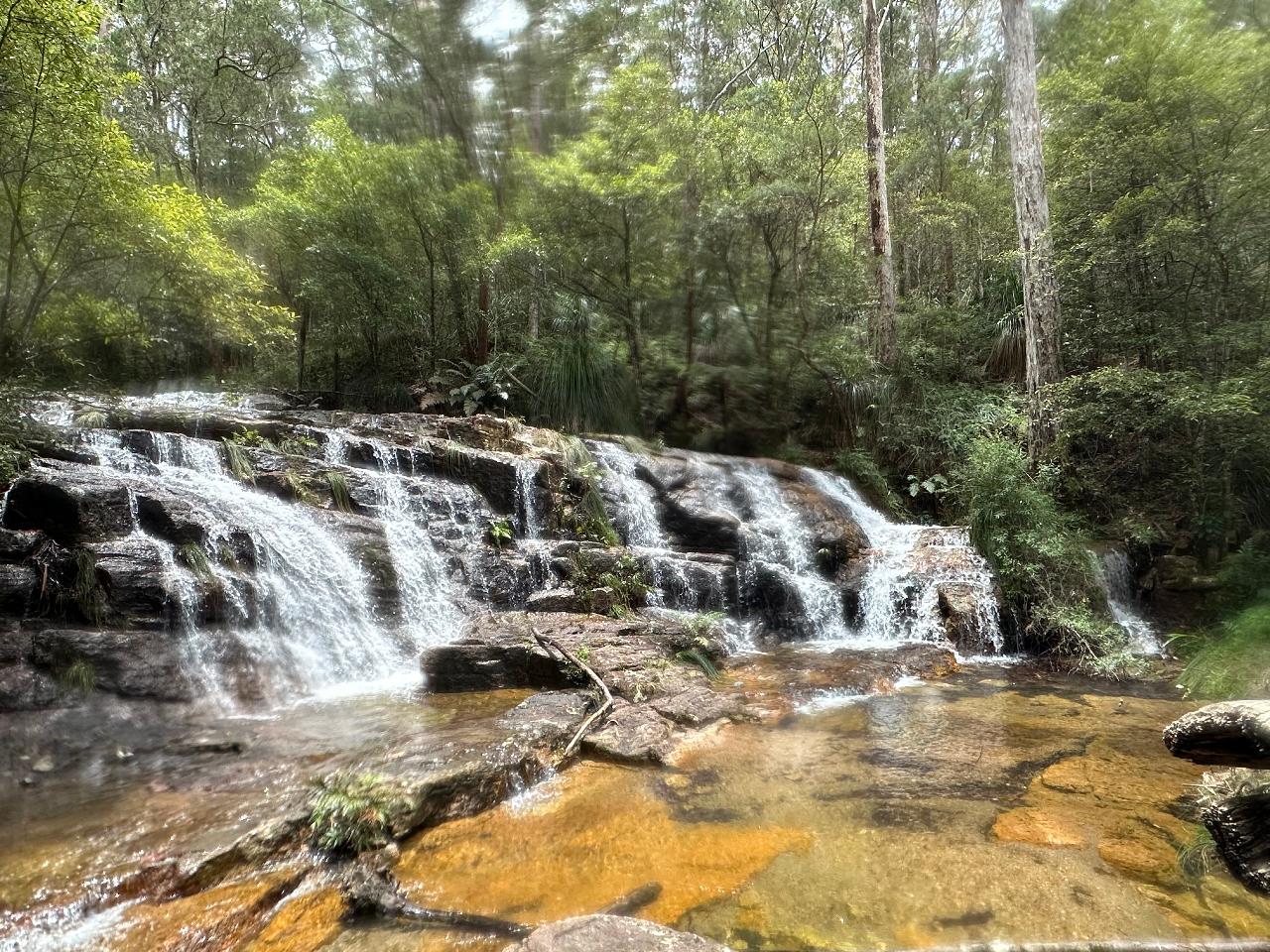 Byron Bay: Waterfall Adventurer - Half Day - Turers - Australia