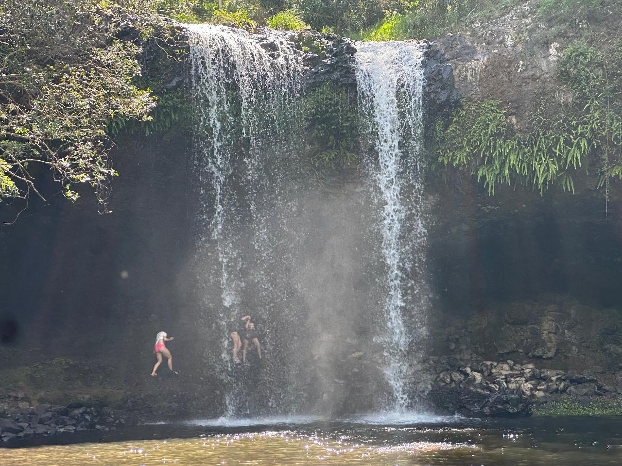 Byron Bay: Waterfall Adventurer - Half Day - Turers - Australia