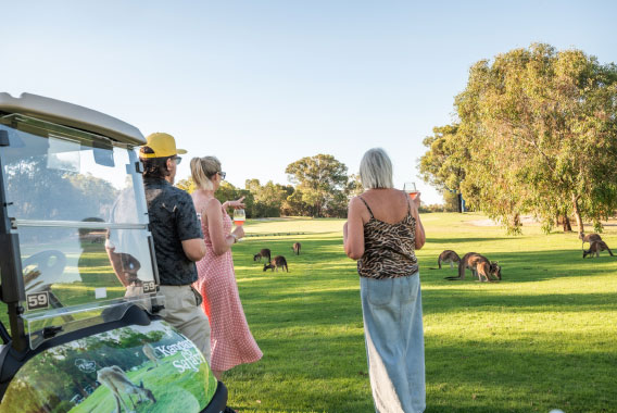 Kangaroo Safari Package - The Vines Resort Reservations