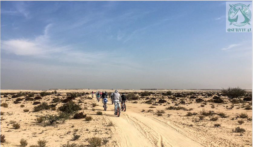 QBIKE Zekreet Tour - BLUE PEARL WATERSPORTS TOURISM Reservations