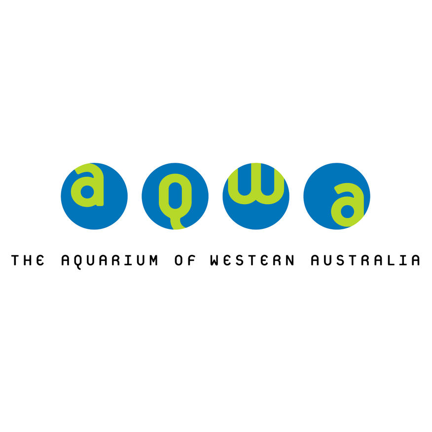Perth City, Aquarium, Beaches and Hillarys Harbour Half Day Tour ...
