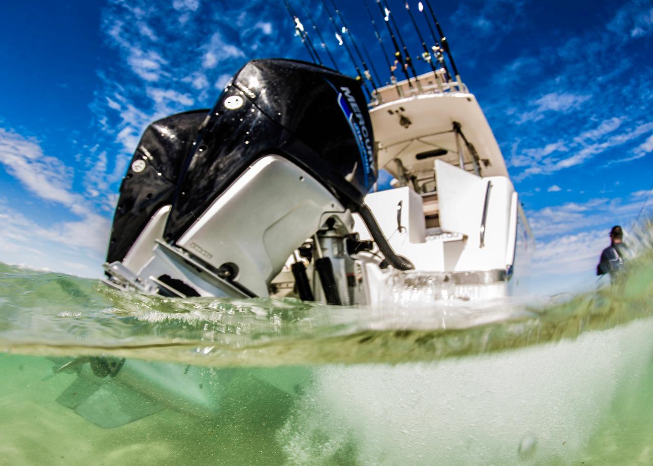 Exclusive - 30ft Fury Vessel - Full Day Fishing Charter - On Strike ...