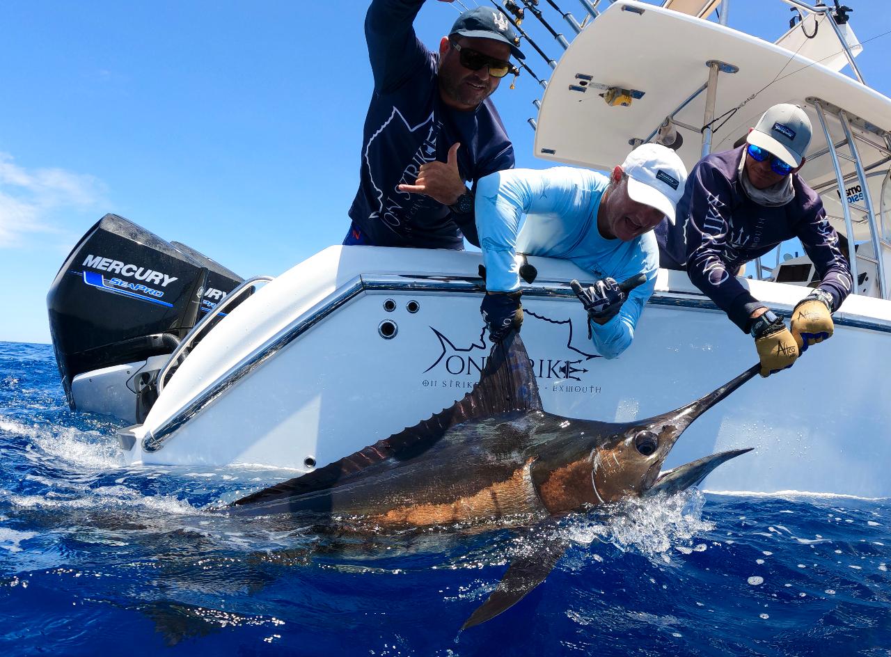 Exclusive - 30ft Fury Vessel - Full Day Fishing Charter - On Strike ...