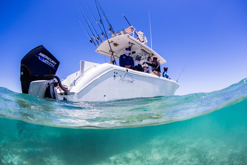 Exclusive - 30ft Fury Vessel - Full Day Fishing Charter - On Strike ...
