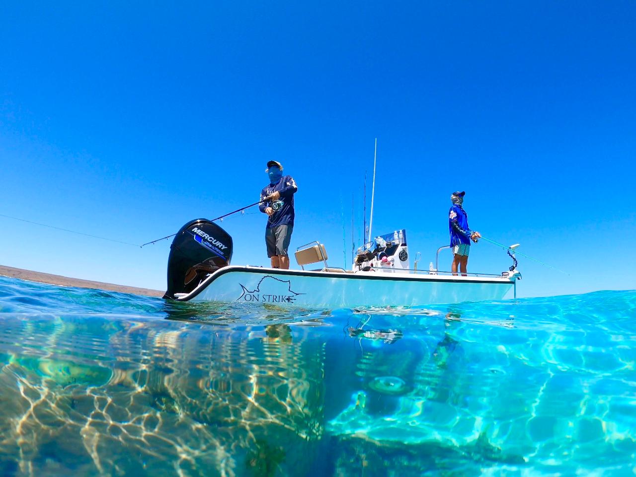 Exclusive - 20ft Inshore Reef Fishing - Full Day Charter - On Strike ...