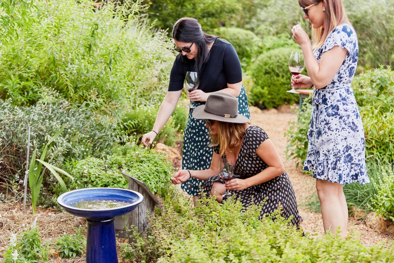 Wander in the Garden - Turers - Australia