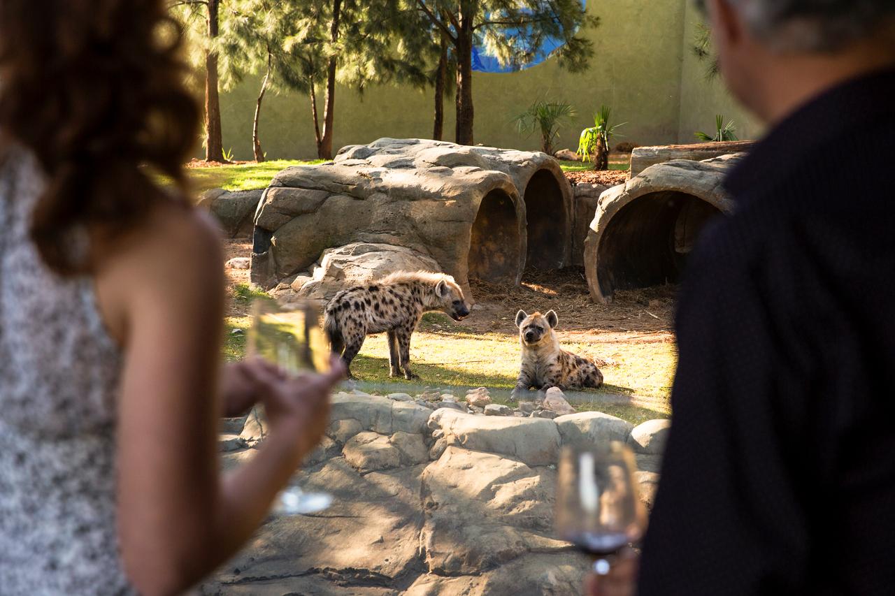 A Taste of Jamala - National Zoo & Aquarium Reservations