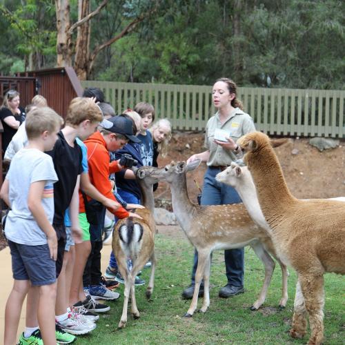 Zoocation Junior - National Zoo & Aquarium Reservations