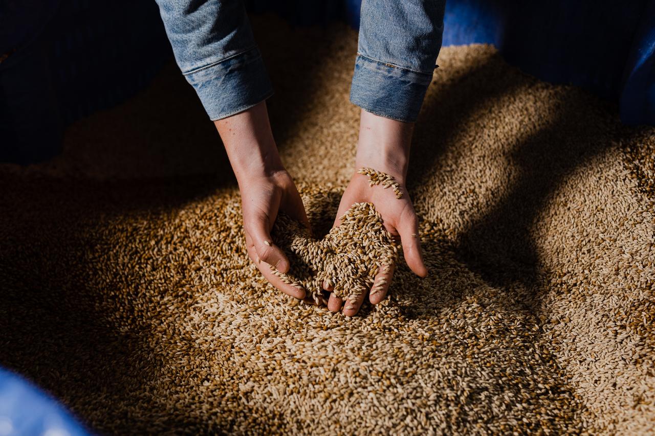 78 Degrees virtual party! Taste Native Grain + so much more with Fred ...