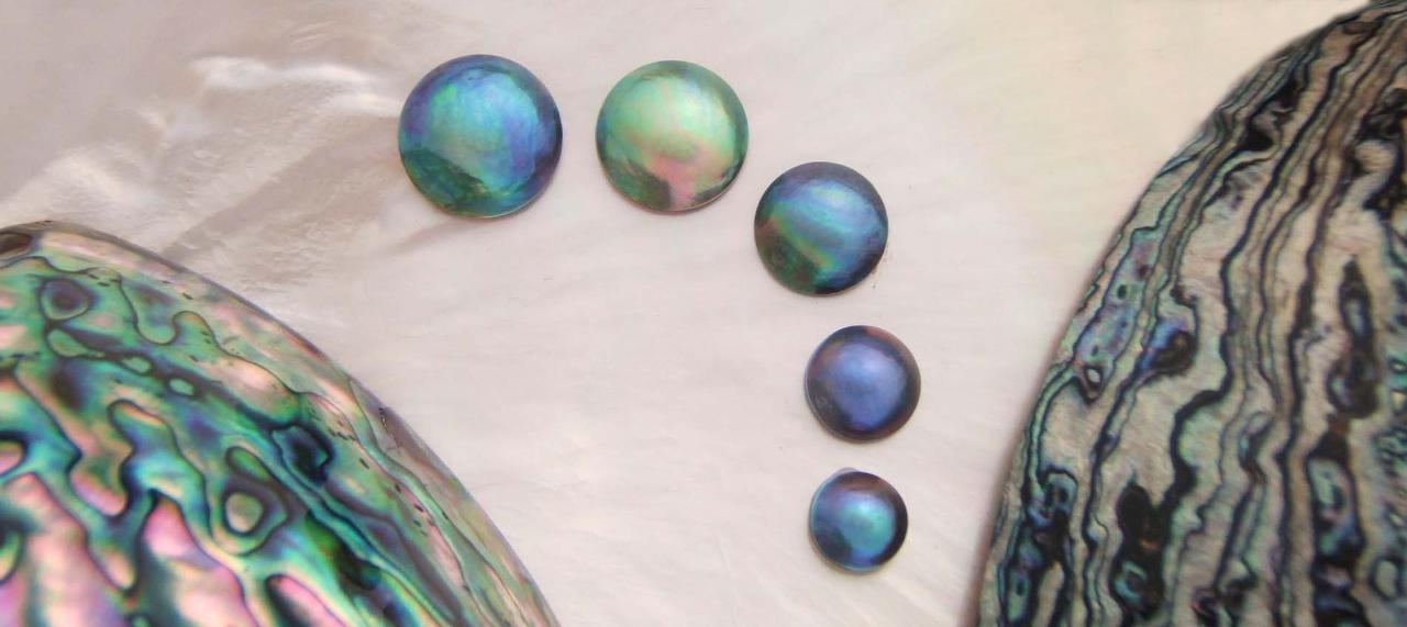 Paua Pearl Farm Tour - Beachcomber Cruises Reservations