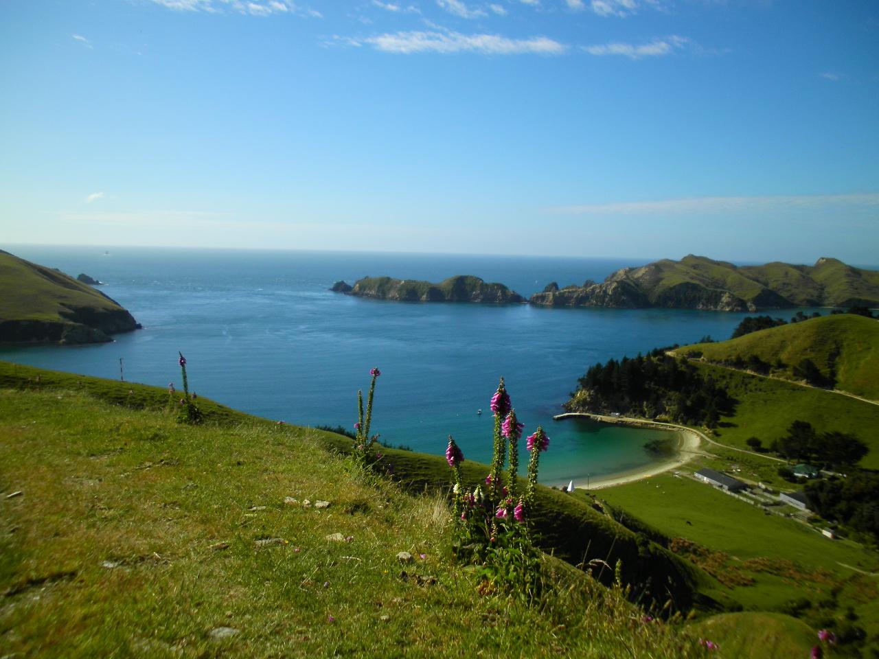 Paua Pearl Farm Tour - Beachcomber Cruises Reservations
