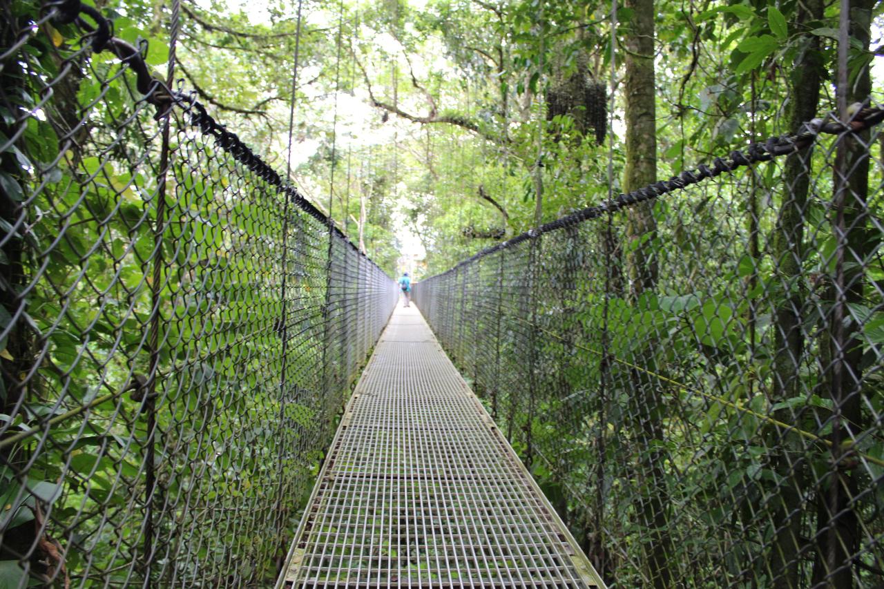 Arenal Hanging Bridges - Central American Tours Reservations