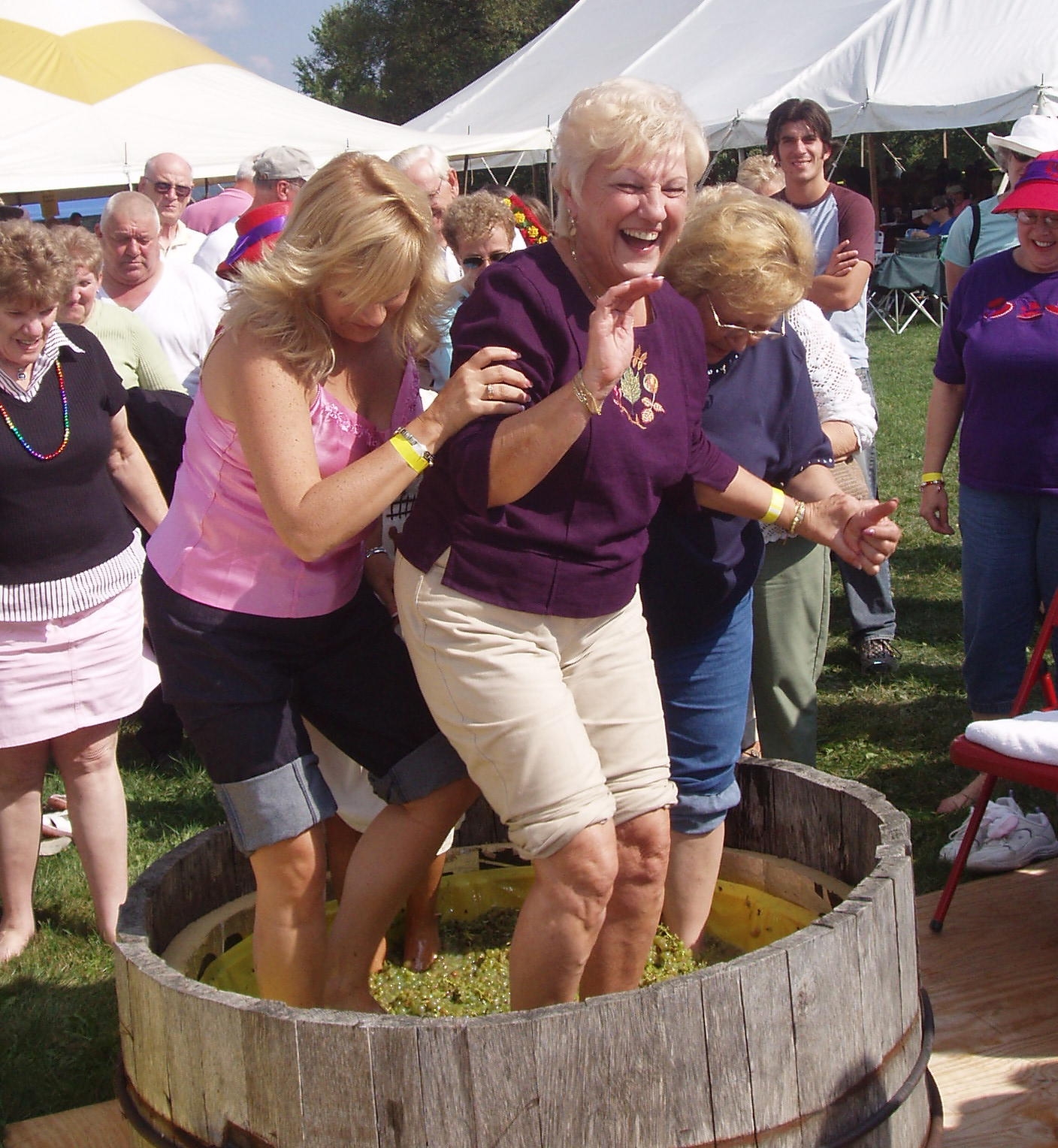 Grape Picking & Stomping Party - Okanagan Experiential Tourism Reservations