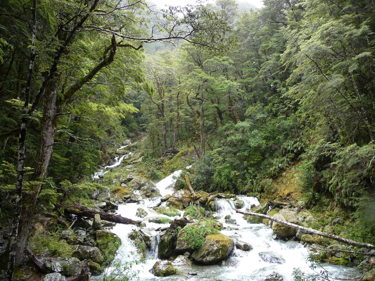 Routeburn Guided Walk Half Day - Nomad Safaris Reservations