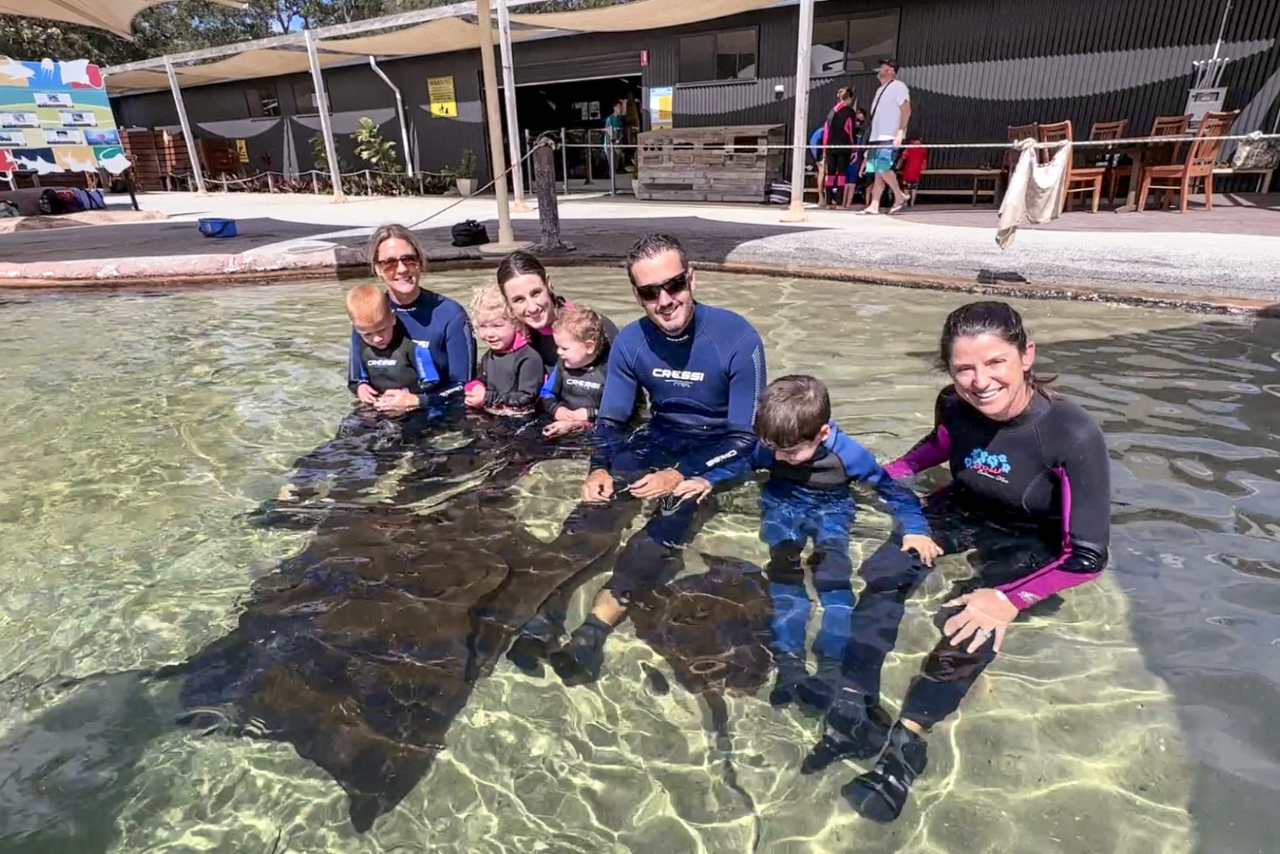 Turtle Conservation Experience B2B Packaged with Entry Pass - Turers ...