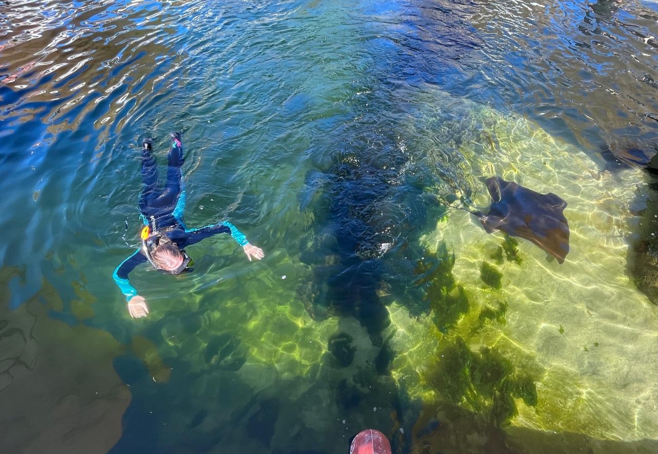 Tropical lagoon snorkel Port Stephens