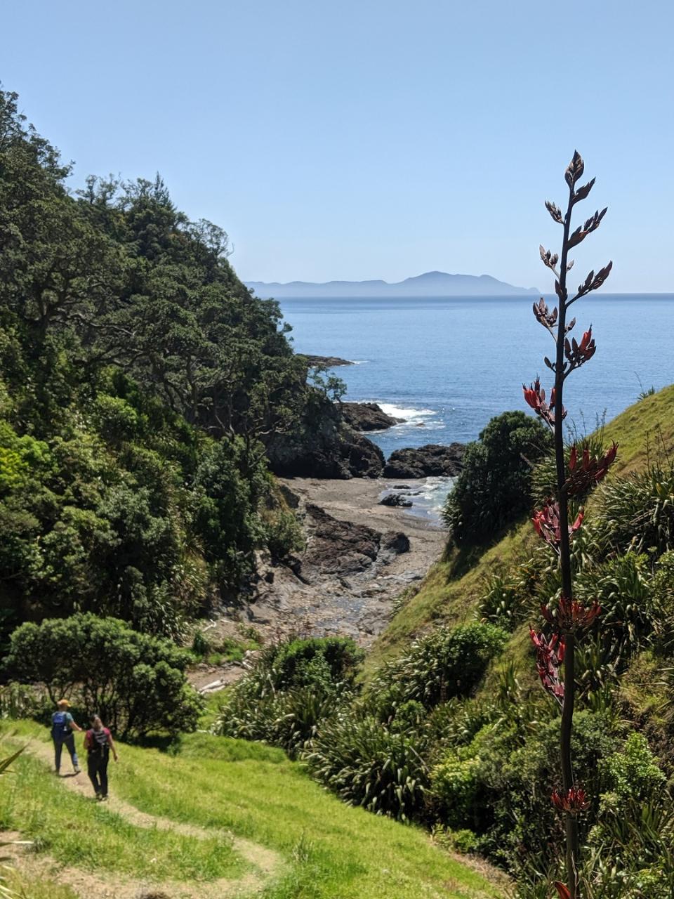 4 Day Coromandel Explorer Walk - Lodge Based - Walking Legends Reservations