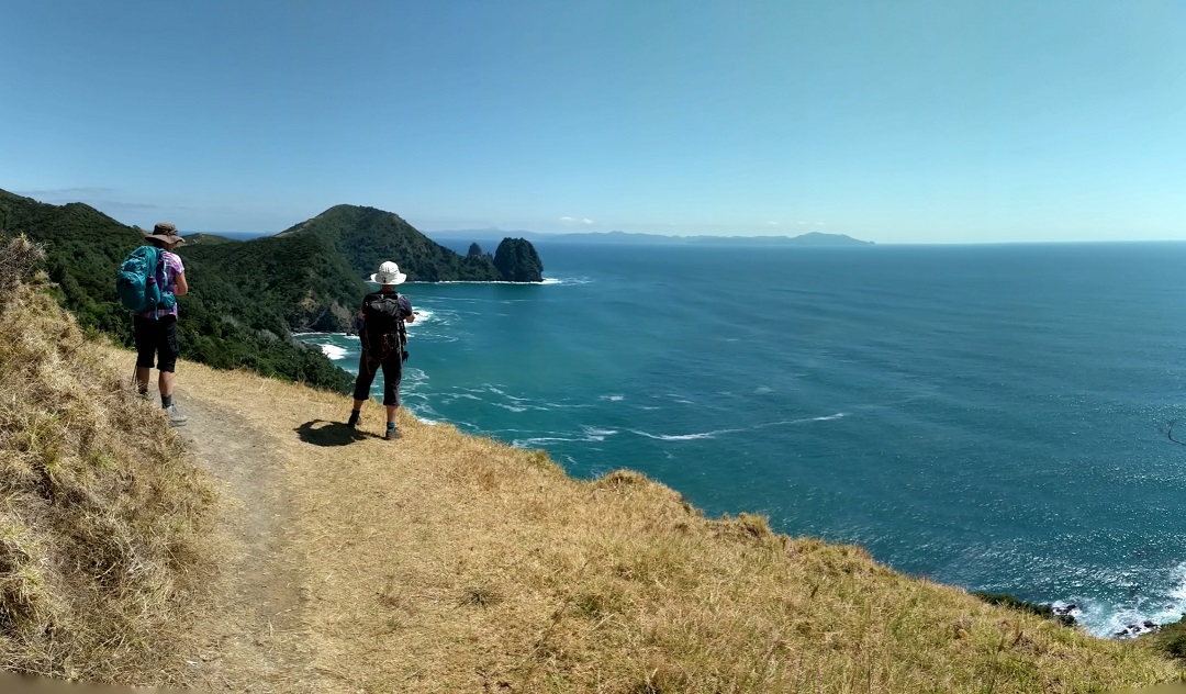 4 Day Coromandel Explorer Walk - Lodge Based - Walking Legends Reservations