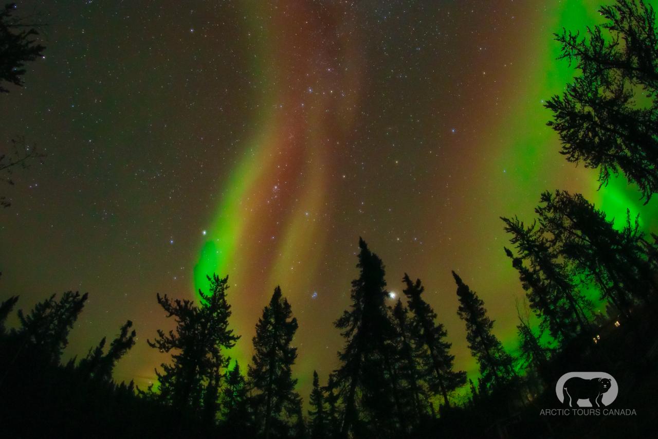 Yellowknife 4 Days 3 Nights Aurora Viewing Excluding Accommodation | 2 ...