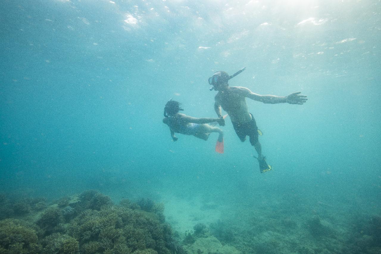 Hamilton Island - Private Ocean Enigma Charter - Outer Reef and ...