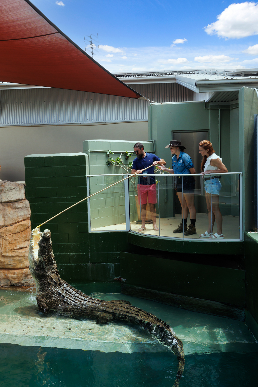 Big Croc Feed VIP Experience - Crocosaurus Cove Reservations
